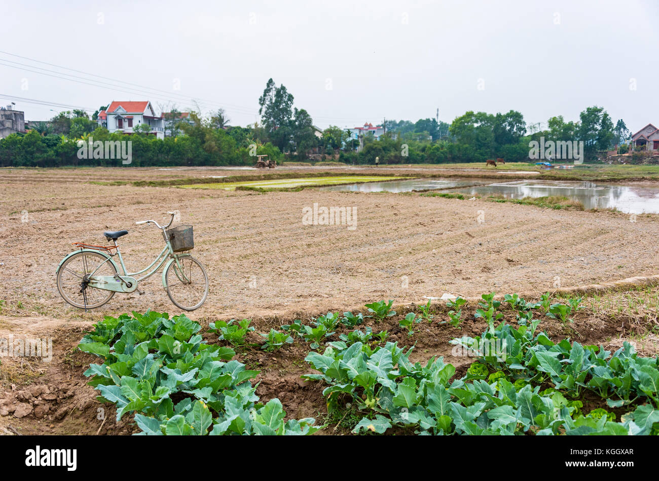 Vietnam irrigation Banque de photographies et d’images à haute ...