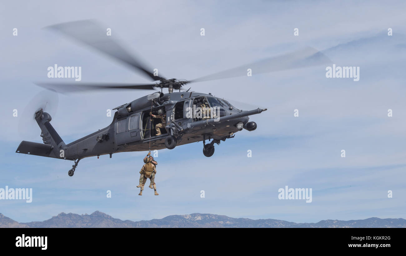 Pave hawk Banque de photographies et d’images à haute résolution - Alamy