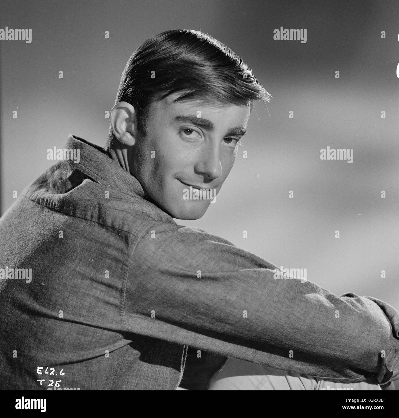 Teddy green Banque d'images noir et blanc - Alamy