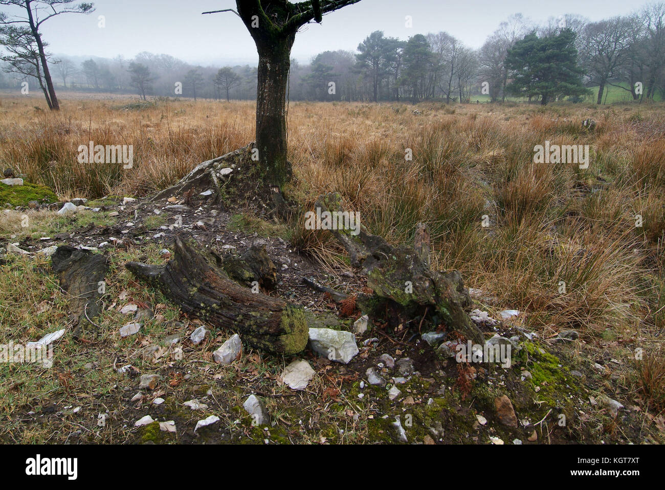 Stockland devon Banque de photographies et d’images à haute résolution ...