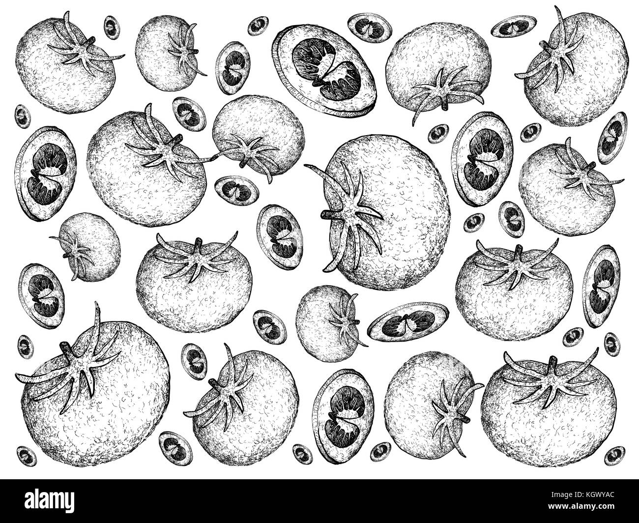 Coupe transversale de tomate Banque d'images noir et blanc - Alamy