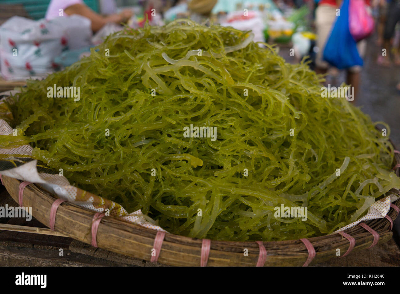 Edible seaweeds in the philippines store