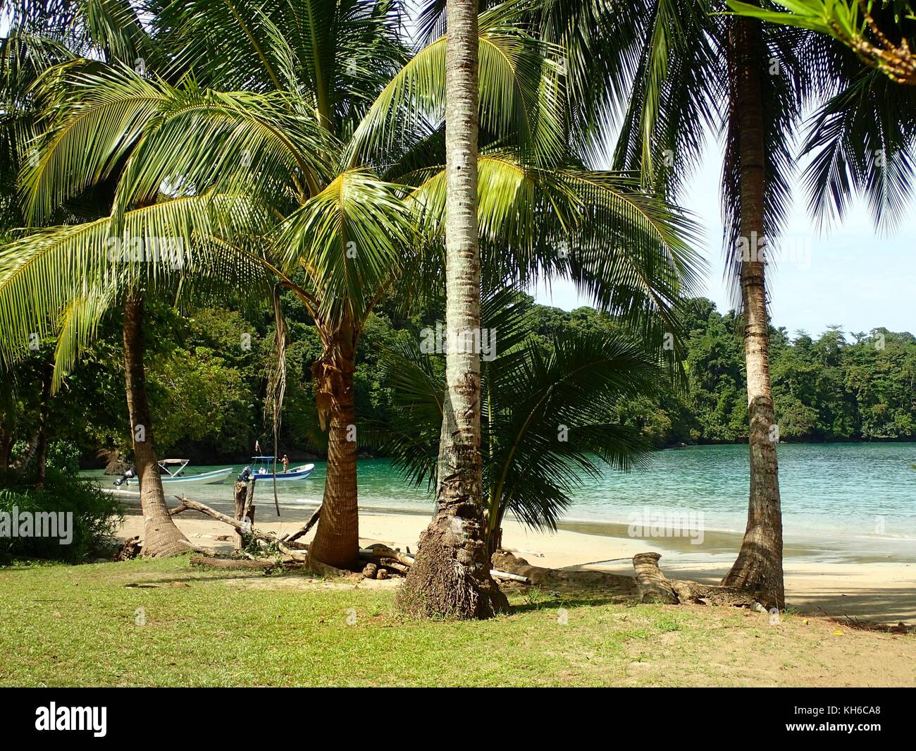 Parc national isla de coiba Banque de photographies et d’images à haute ...