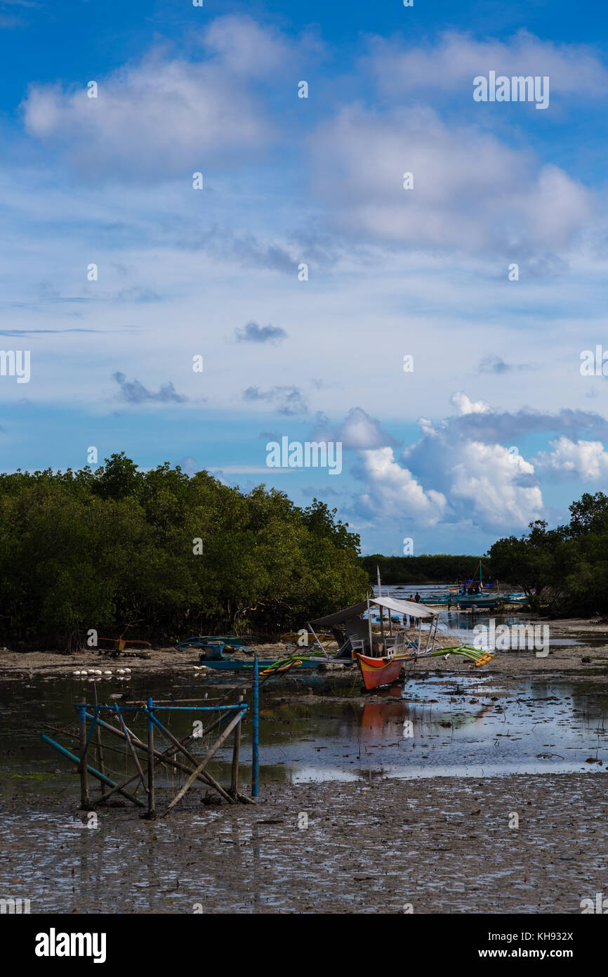Mangroves philippines Banque de photographies et d’images à haute ...