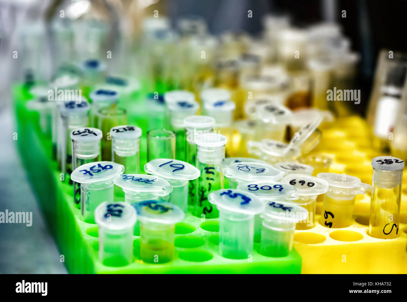 Eppendorf tubes Banque de photographies et d’images à haute résolution ...