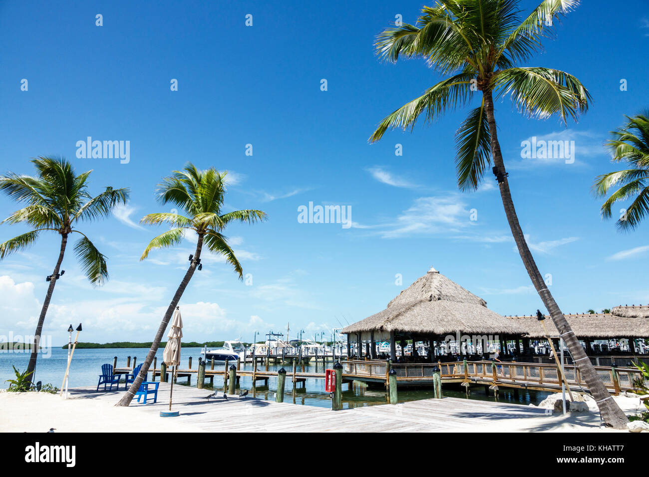Florida Upper Florida Keys, Islamorada, Islamorada Fish Company, fruits ...