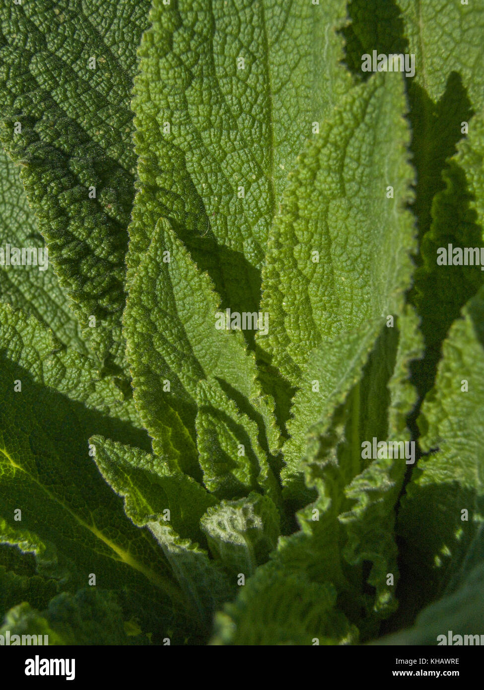 Concept digitalin Banque de photographies et d’images à haute ...