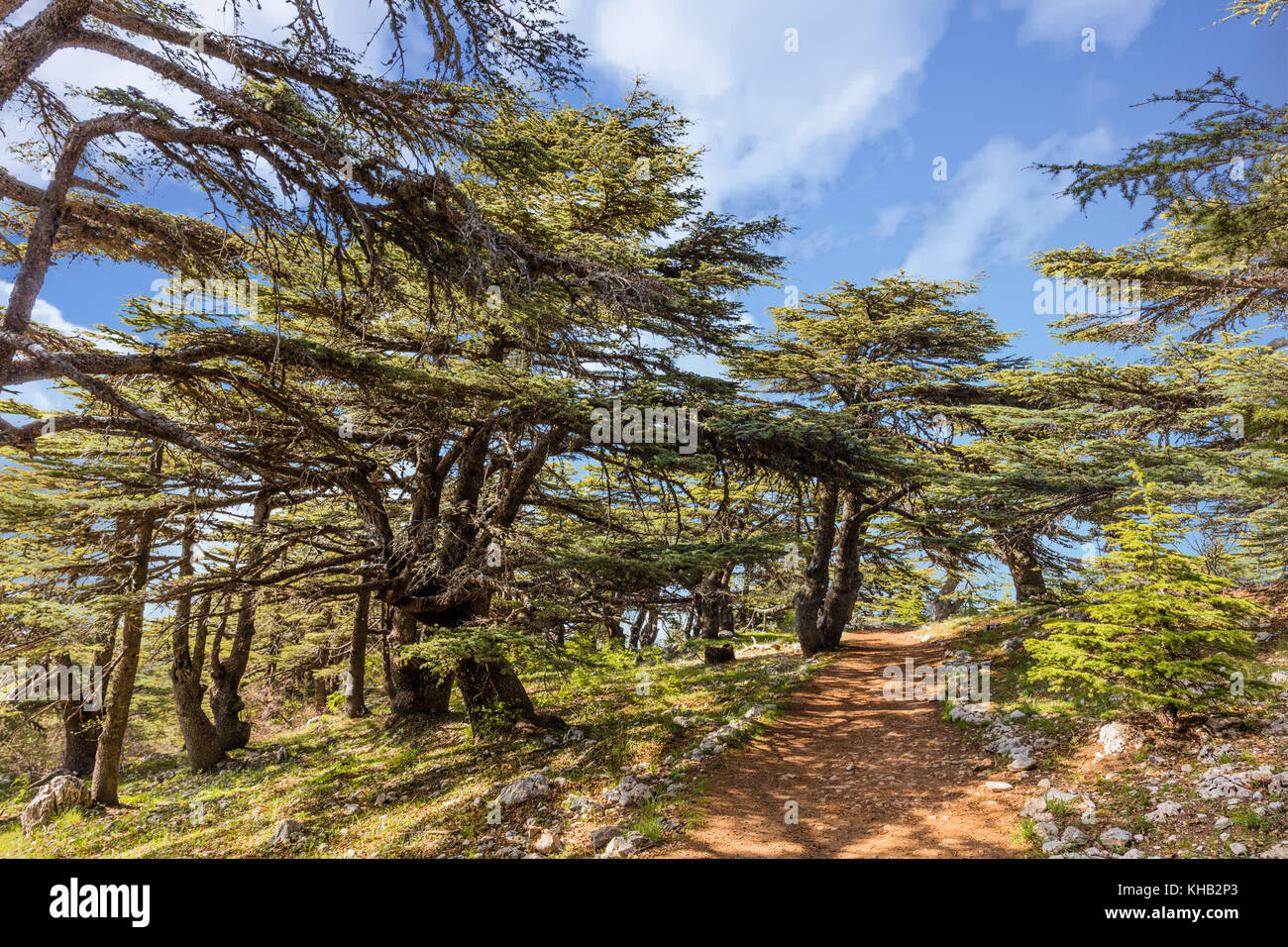 Lebanese Nature Reserve Photos & Lebanese Nature Reserve Images - Alamy