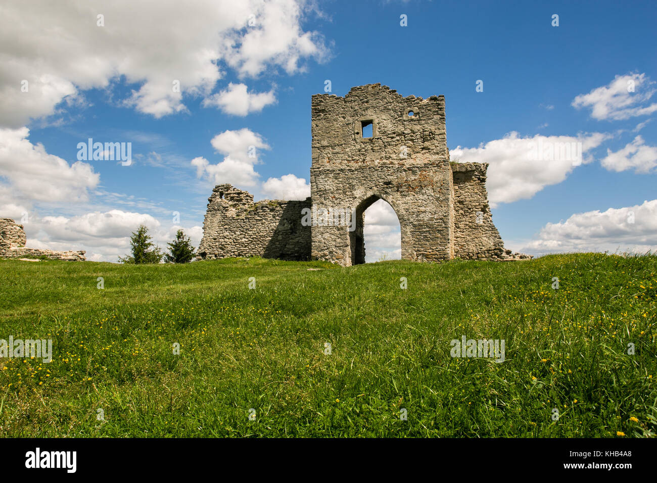 Célèbre monument ukrainien : la vue d'été de l'ancien château en ruines ...