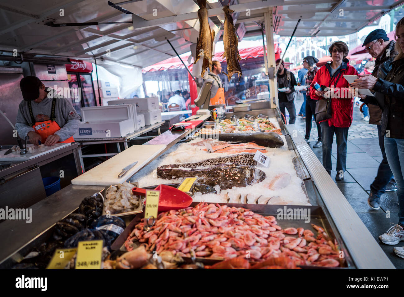 Abondance de poisson Banque de photographies et d’images à haute ...