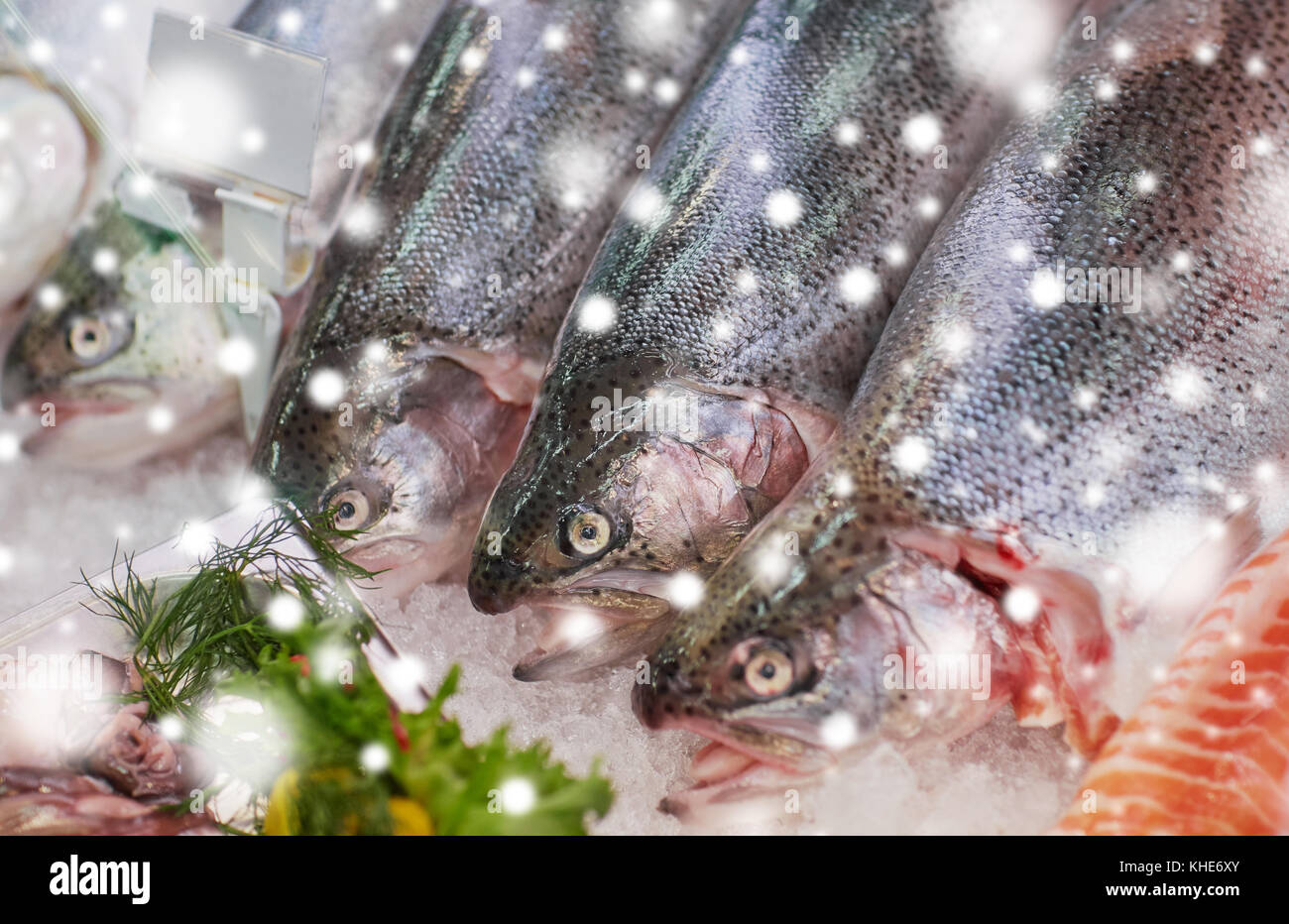 Nature morte avec poisson froid Banque de photographies et d’images à ...