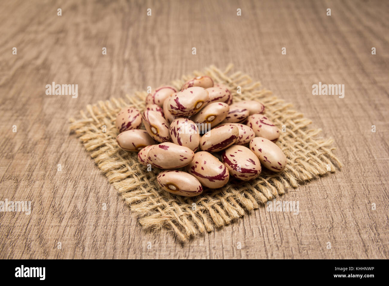 Phaseolus vulgaris est nom scientifique de bean sucre légumineuse ...