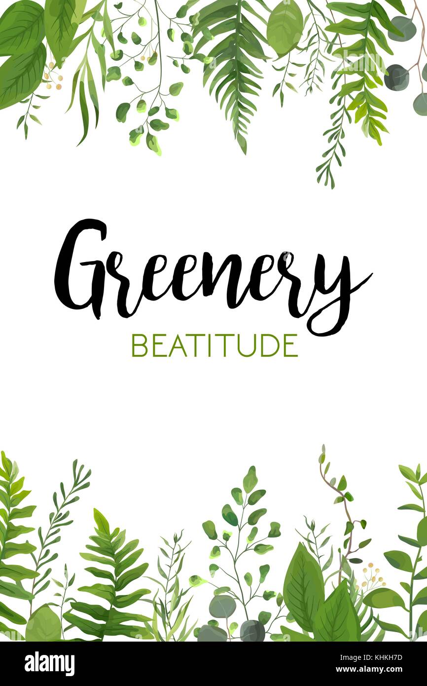 Verdure floral vector design carte verticale : fronde de fougère vert ...