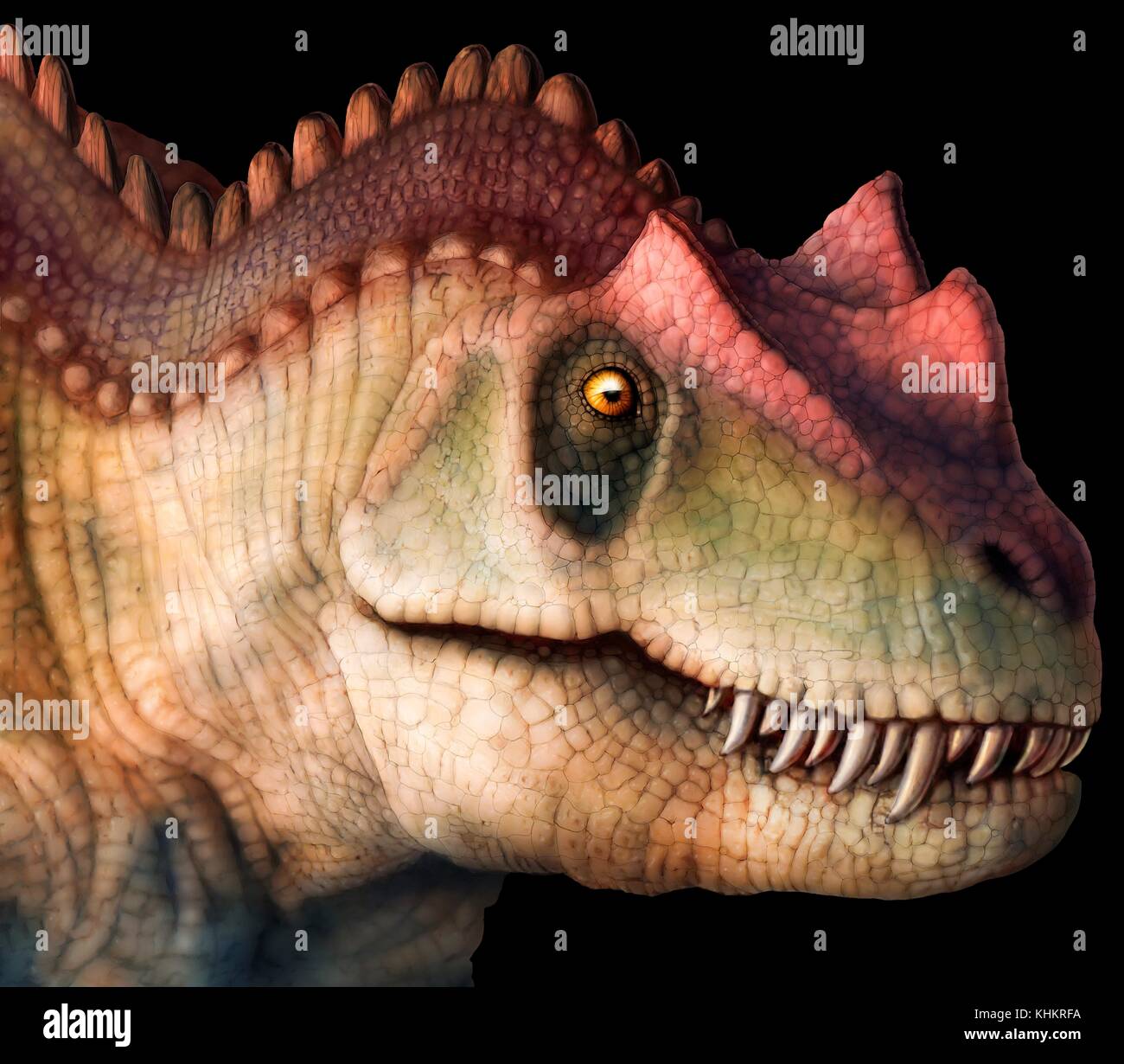 Dinosaure carnivore Banque de photographies et d’images à haute résolution - Alamy