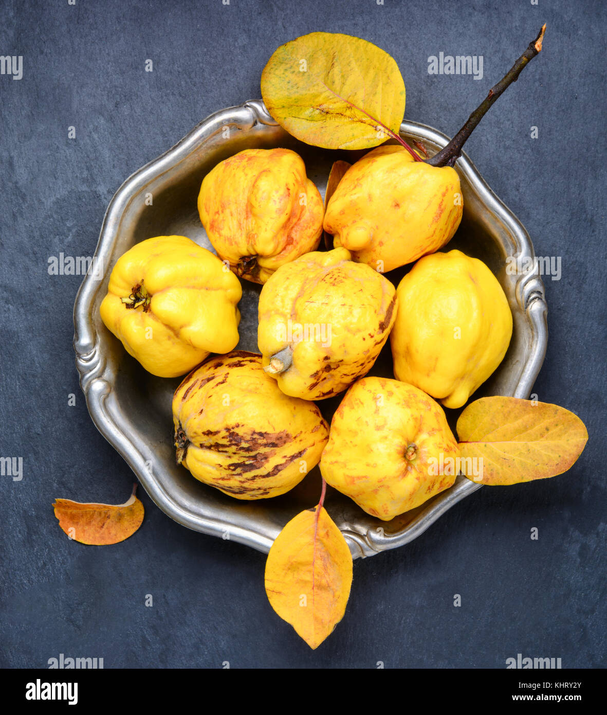 Feuille de coing Banque de photographies et d’images à haute résolution ...