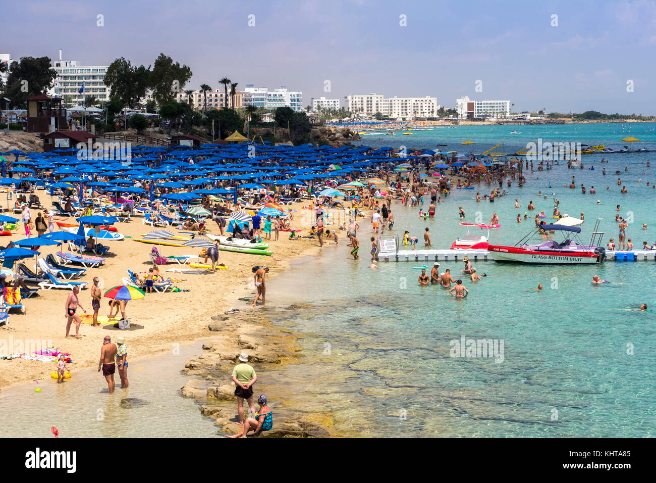 Figuier baie chypre Banque de photographies et d’images à haute ...