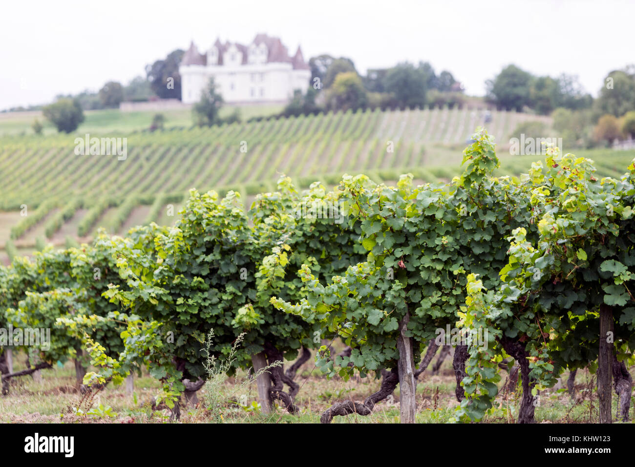 Chateau de monbazillac Banque de photographies et d’images à haute ...