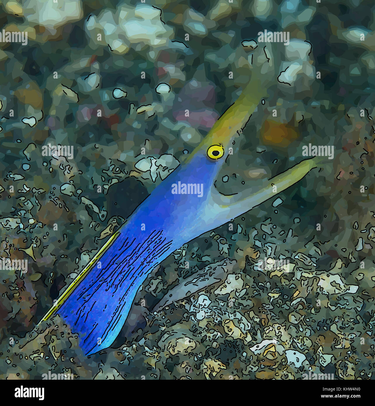 Nouveau poisson ruban Banque de photographies et d’images à haute ...