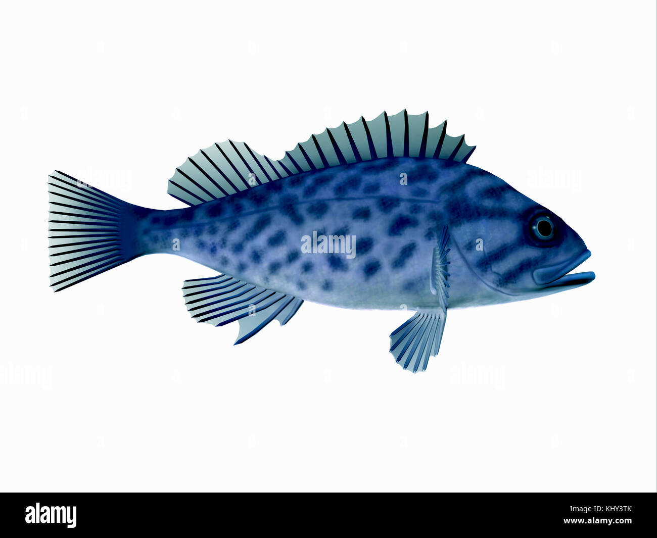 Couleur plancton Banque de photographies et d’images à haute résolution ...