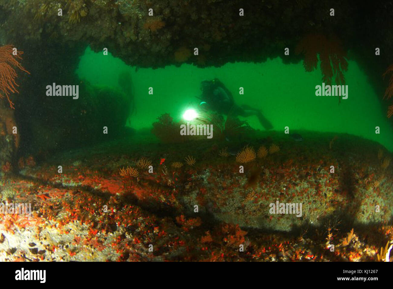 Grotte de peters Banque de photographies et d’images à haute résolution ...