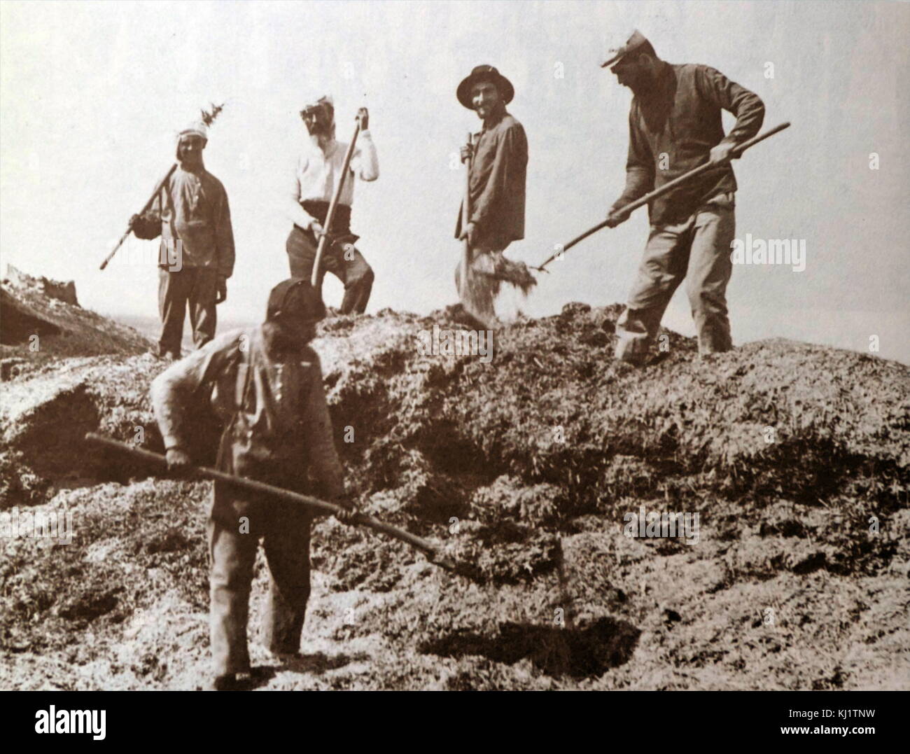 Photo de début de cultivateurs du kibboutz en Palestine. En date du 20e ...