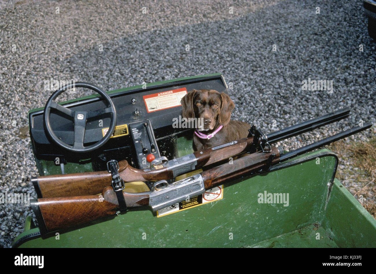 Le sport les fusils de chasse et chien de chasse Photo Stock - Alamy