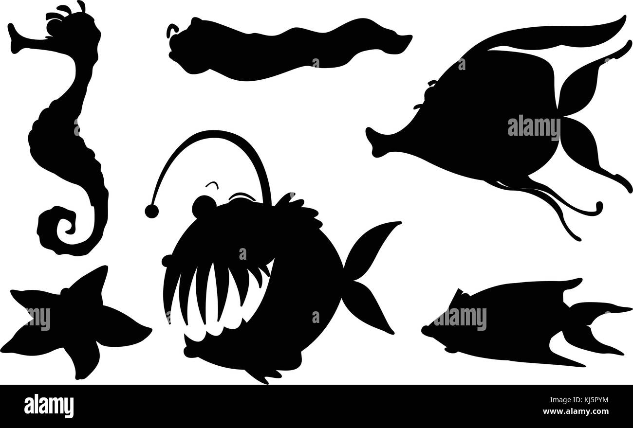Formes de poisson Banque d'images vectorielles - Alamy