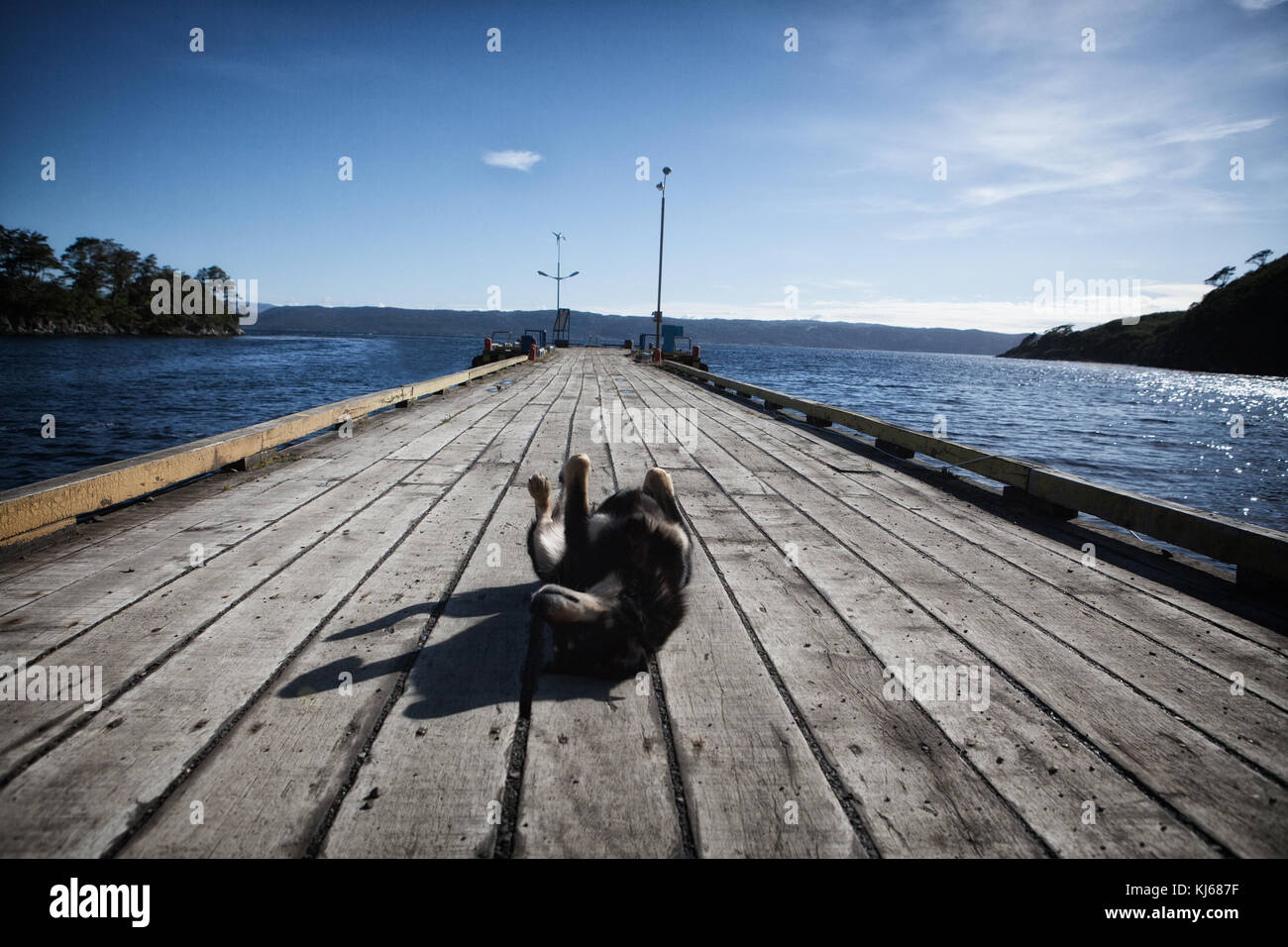 Puerto toro Banque de photographies et d’images à haute résolution - Alamy