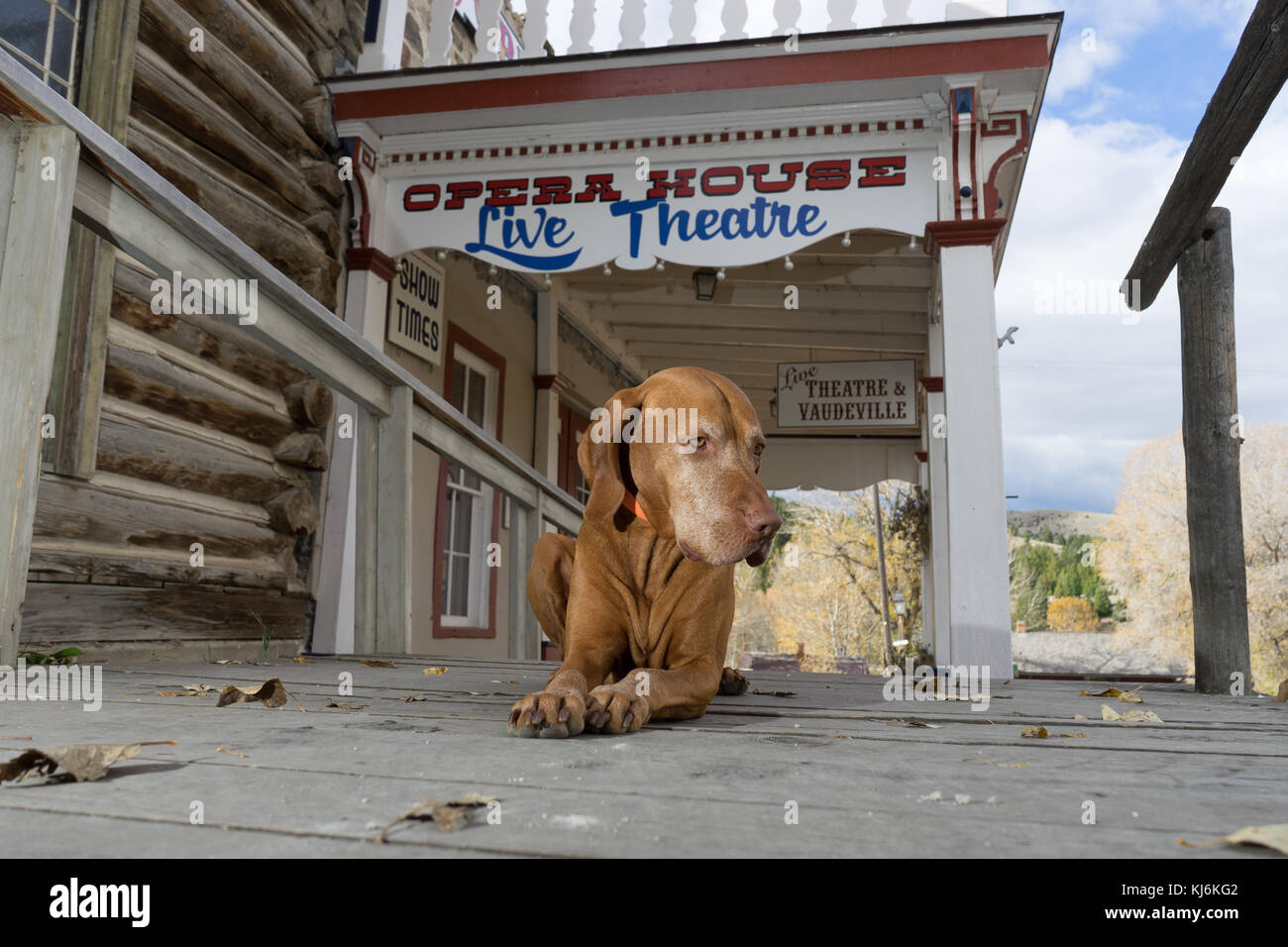 Virginie tourism Banque de photographies et d’images à haute résolution ...