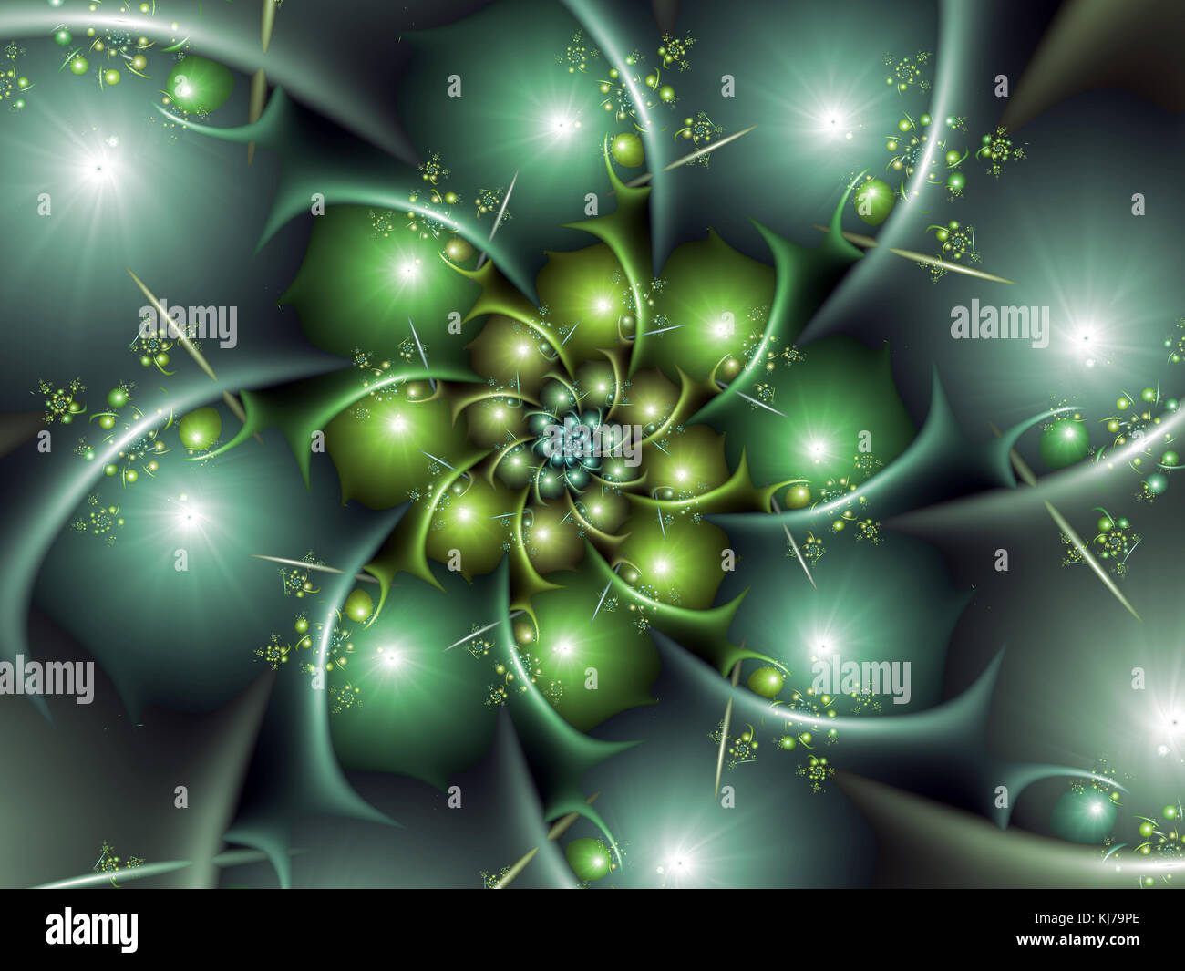 Graphisme coquillage Banque d'image et photos - Alamy