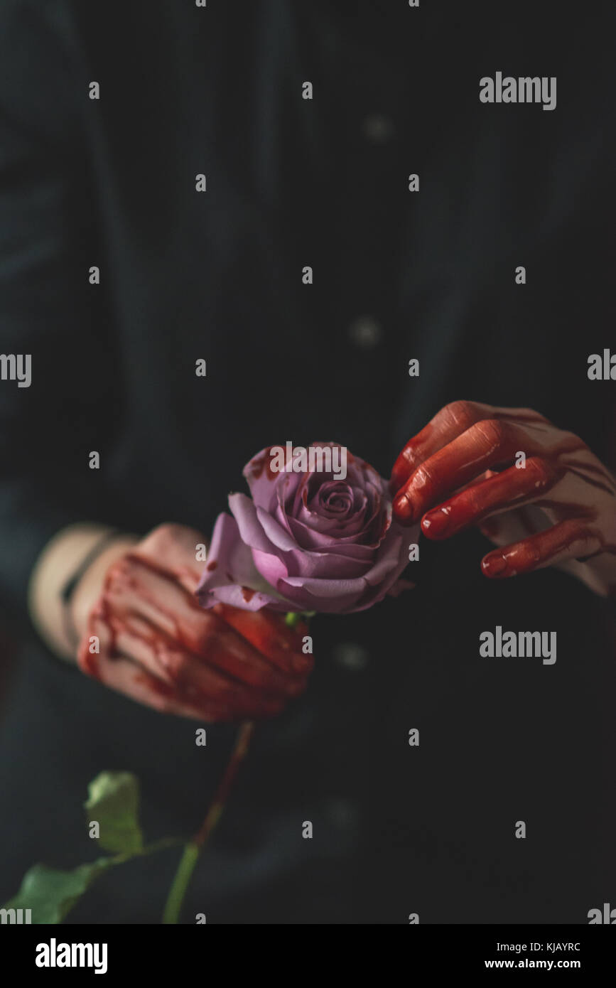 Blood rose Banque de photographies et d’images à haute résolution - Alamy