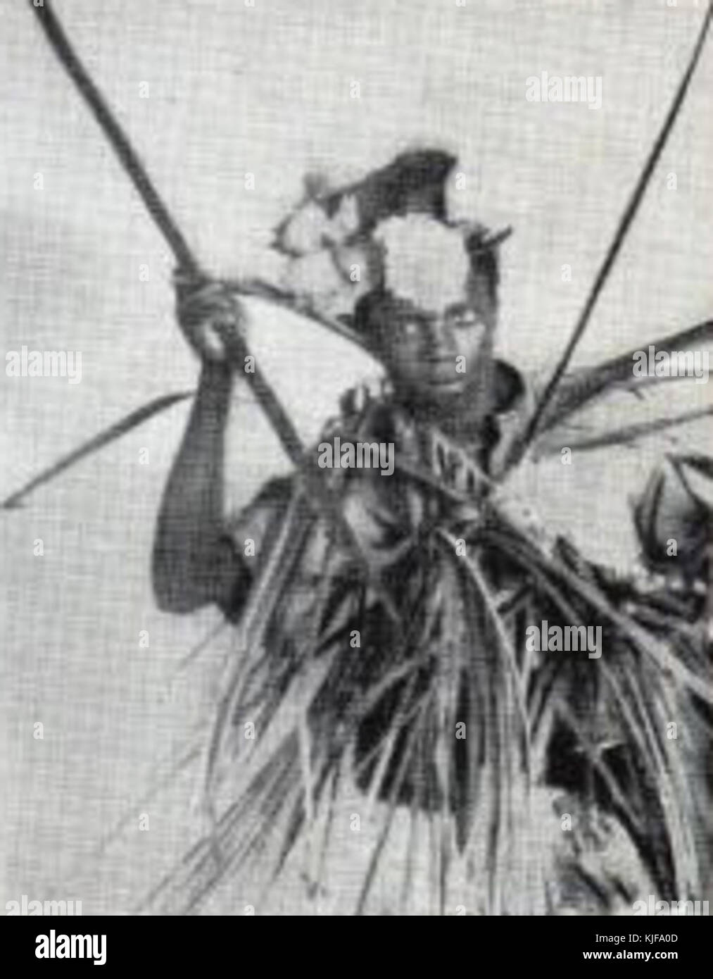 Simba congo Banque de photographies et d’images à haute résolution - Alamy