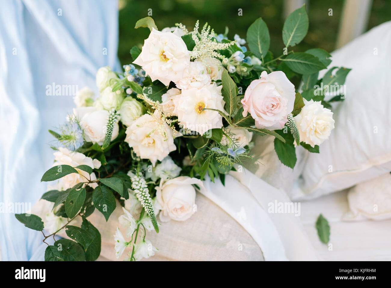 Sortes de roses Banque de photographies et d’images à haute résolution ...