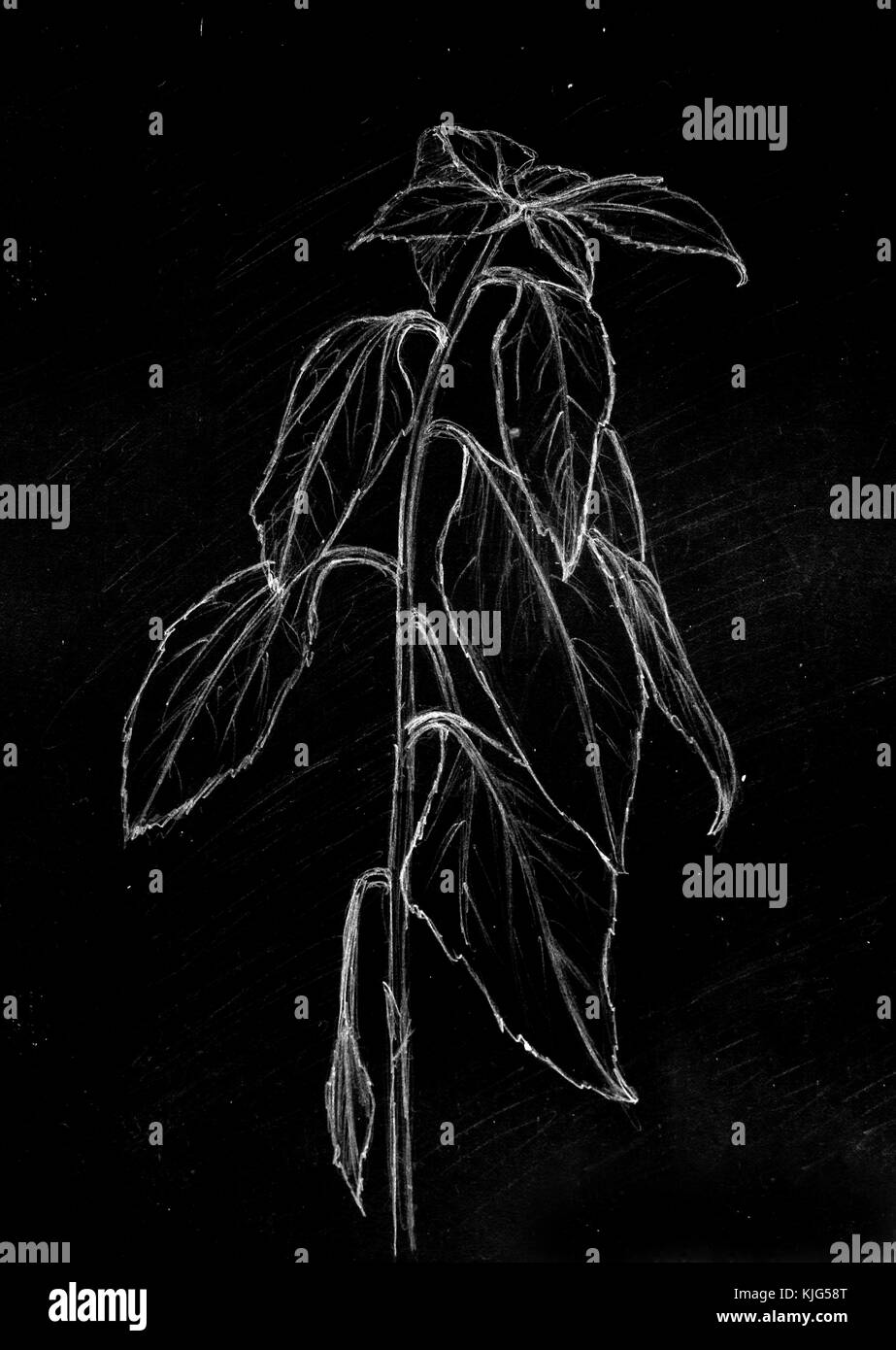 Dessin au crayon, croquis Photo Stock - Alamy