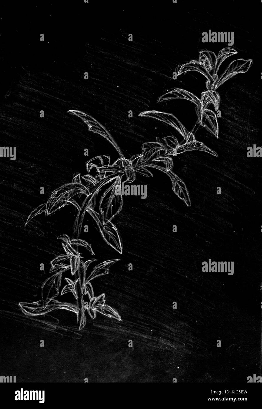 Dessin au crayon, croquis Photo Stock - Alamy