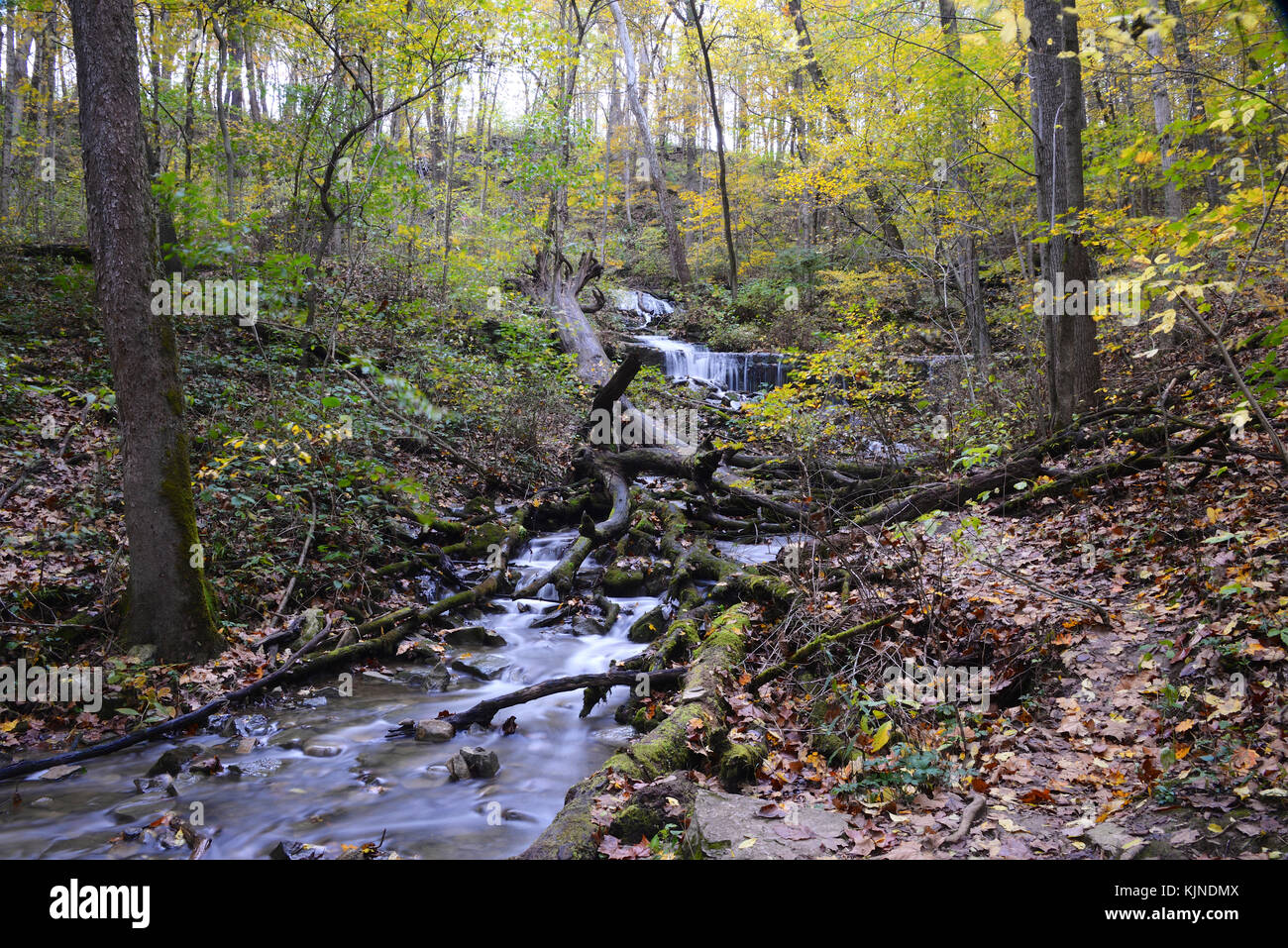 Parc naturel de leonard springs Banque de photographies et d’images à ...