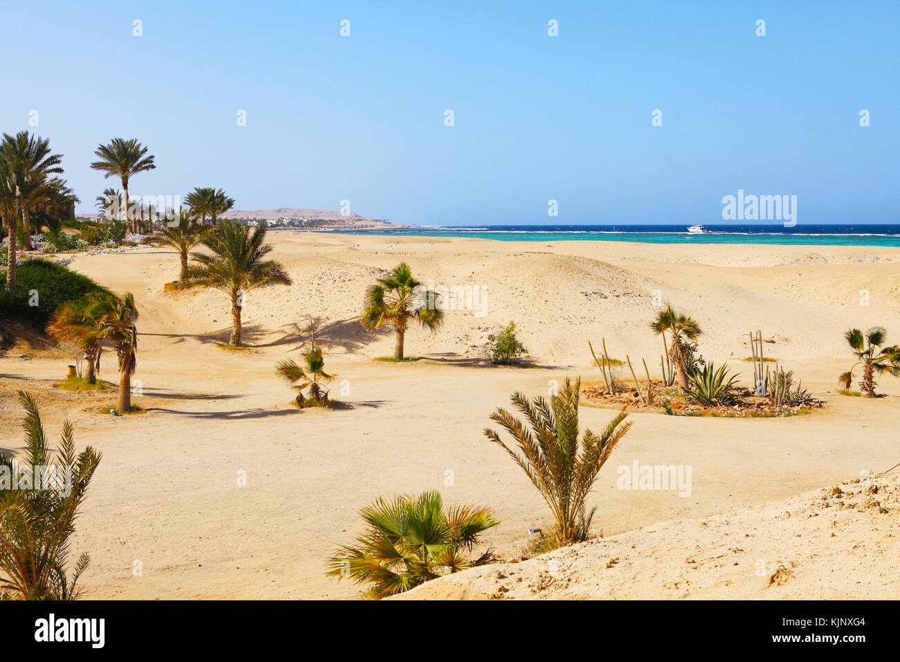 Paysage marin de Marsa Alam (Egypte), de la Mer Rouge Photo Stock - Alamy