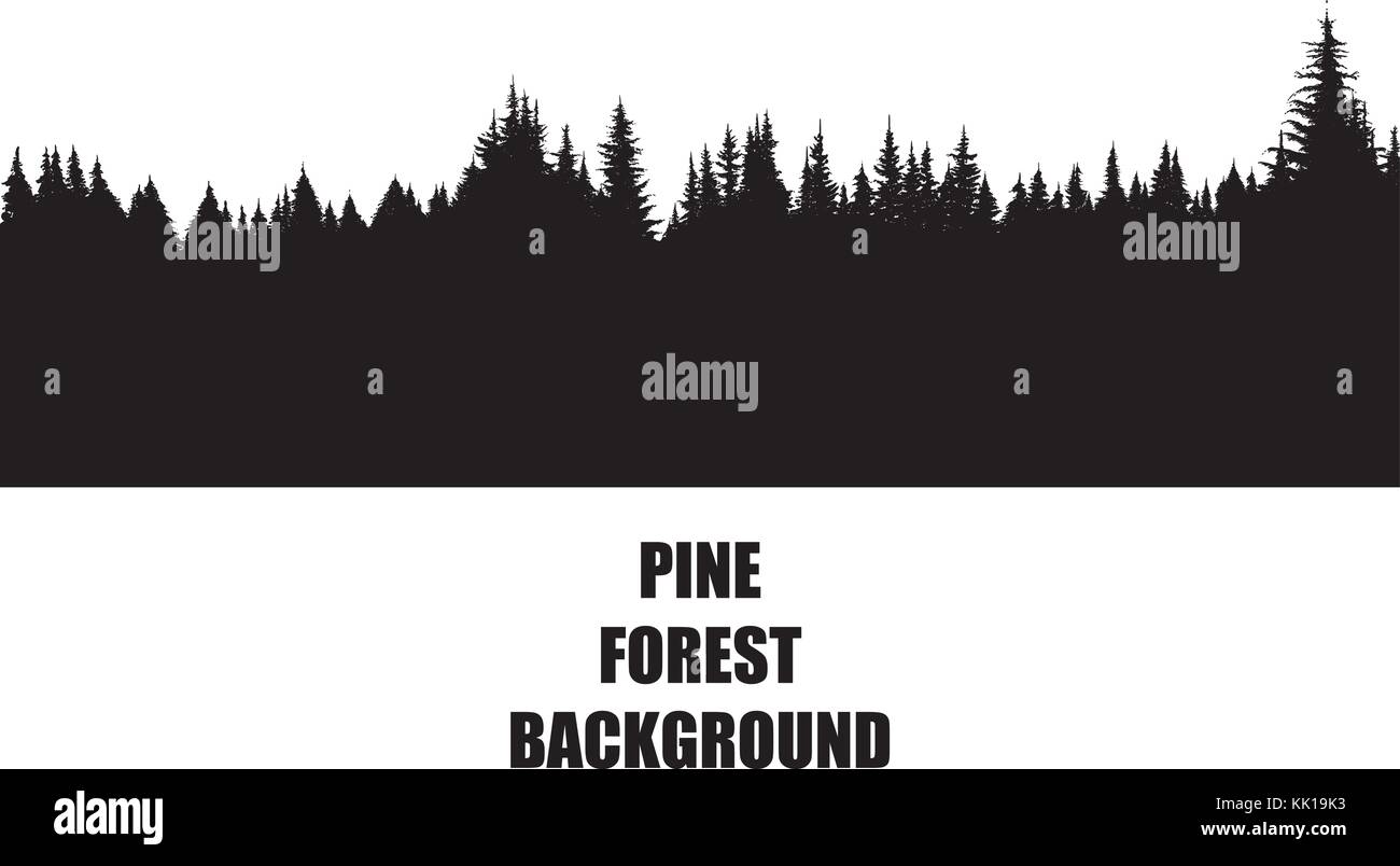 Forêtdesapins Banque d'images vectorielles - Alamy
