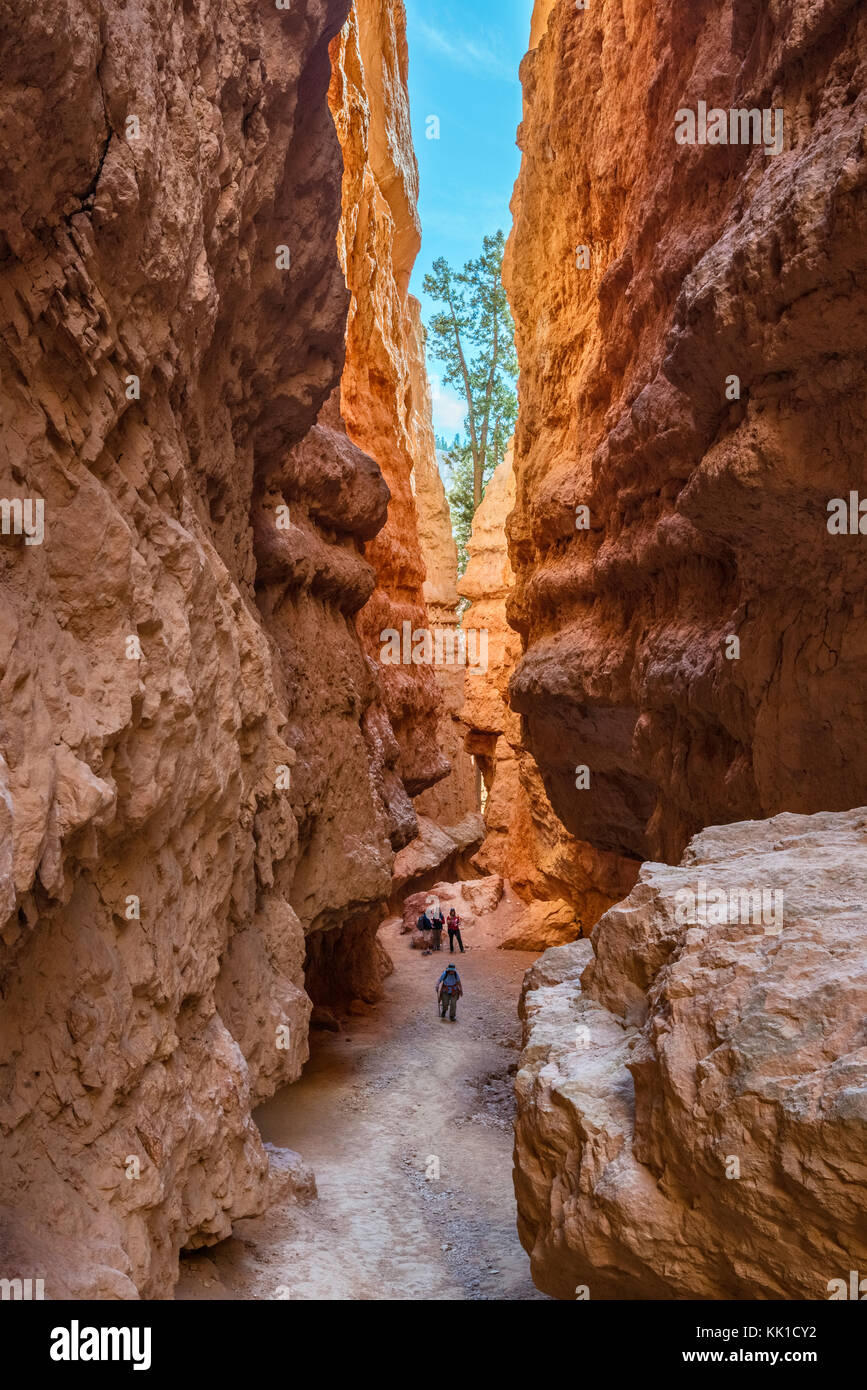 Navajo loop Banque de photographies et d’images à haute résolution - Alamy