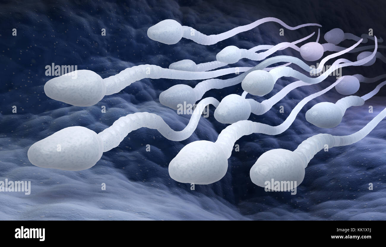 Les spermatozoïdes mâles. 3d illustration Photo Stock - Alamy