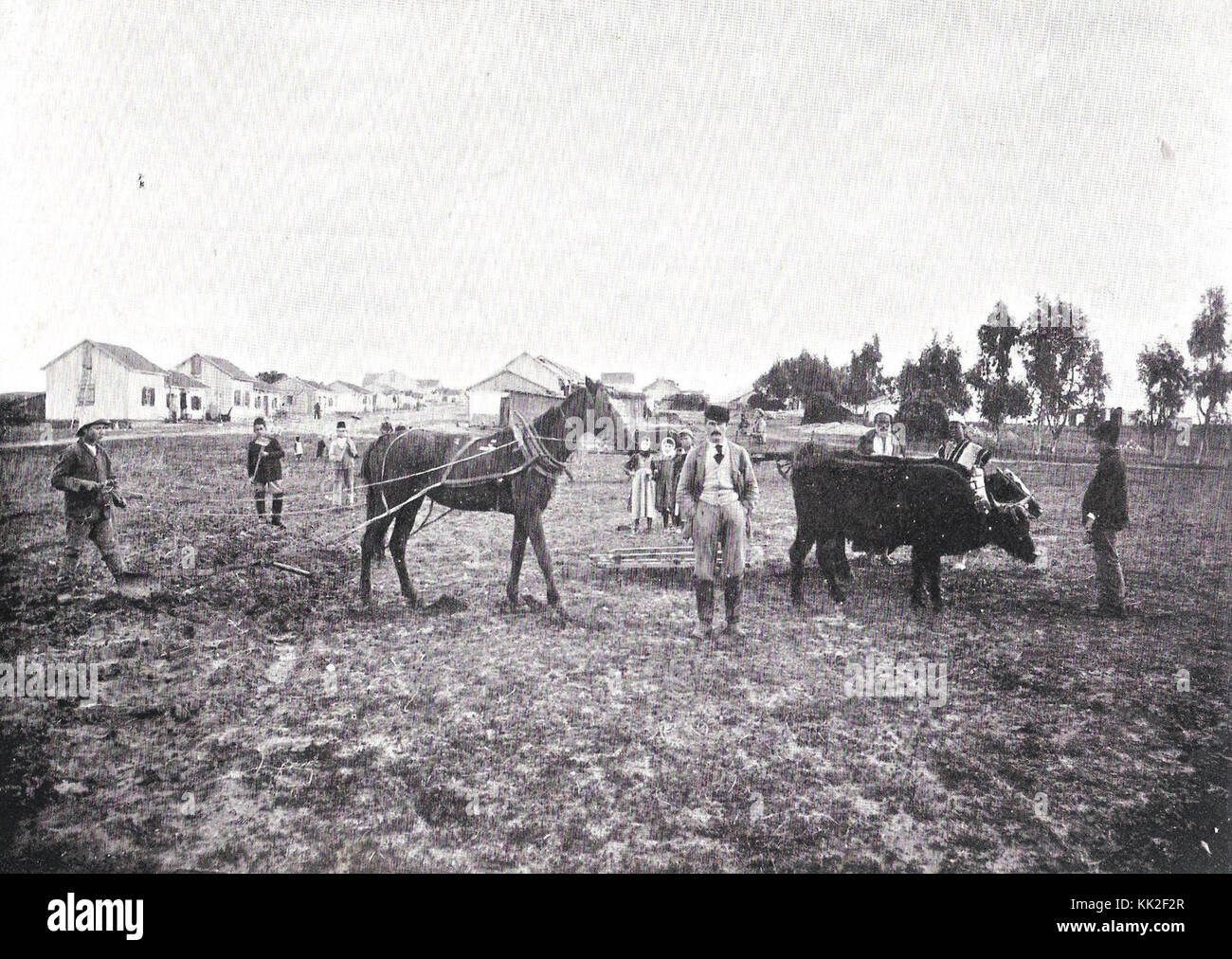 Beer tuvia Banque de photographies et d’images à haute résolution - Alamy