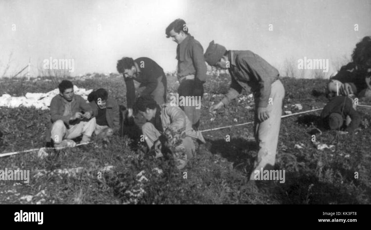 Neve ilan Banque de photographies et d’images à haute résolution - Alamy