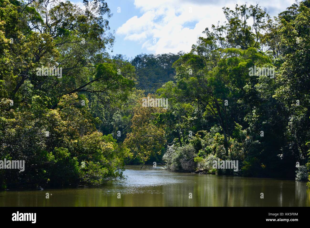 Parc national de girringun Banque de photographies et d’images à haute ...