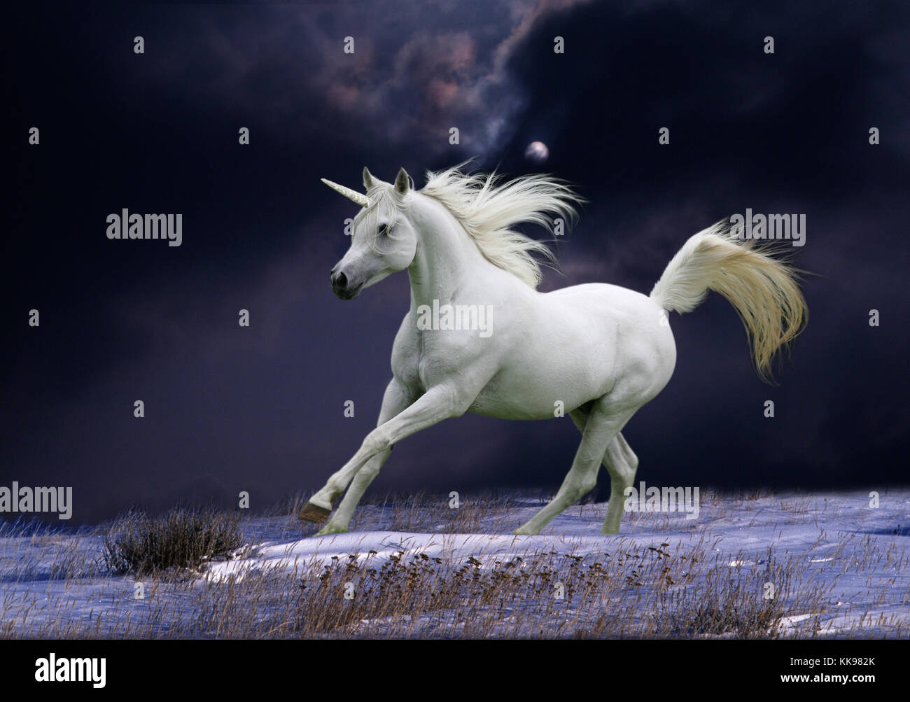 Mystical Unicorn Photos & Mystical Unicorn Images - Alamy