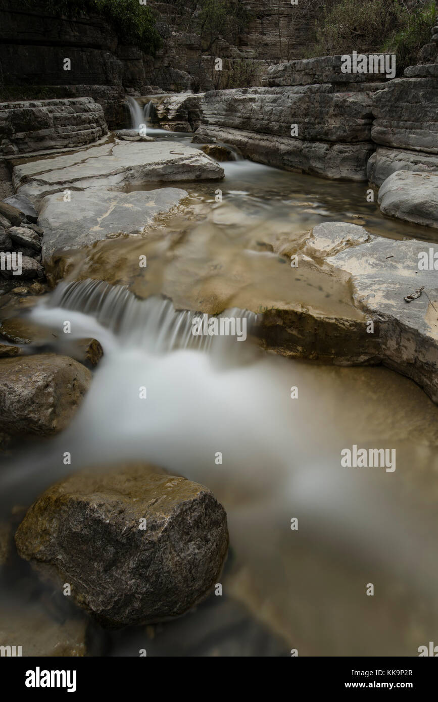 Mikro papingo Banque de photographies et d’images à haute résolution ...