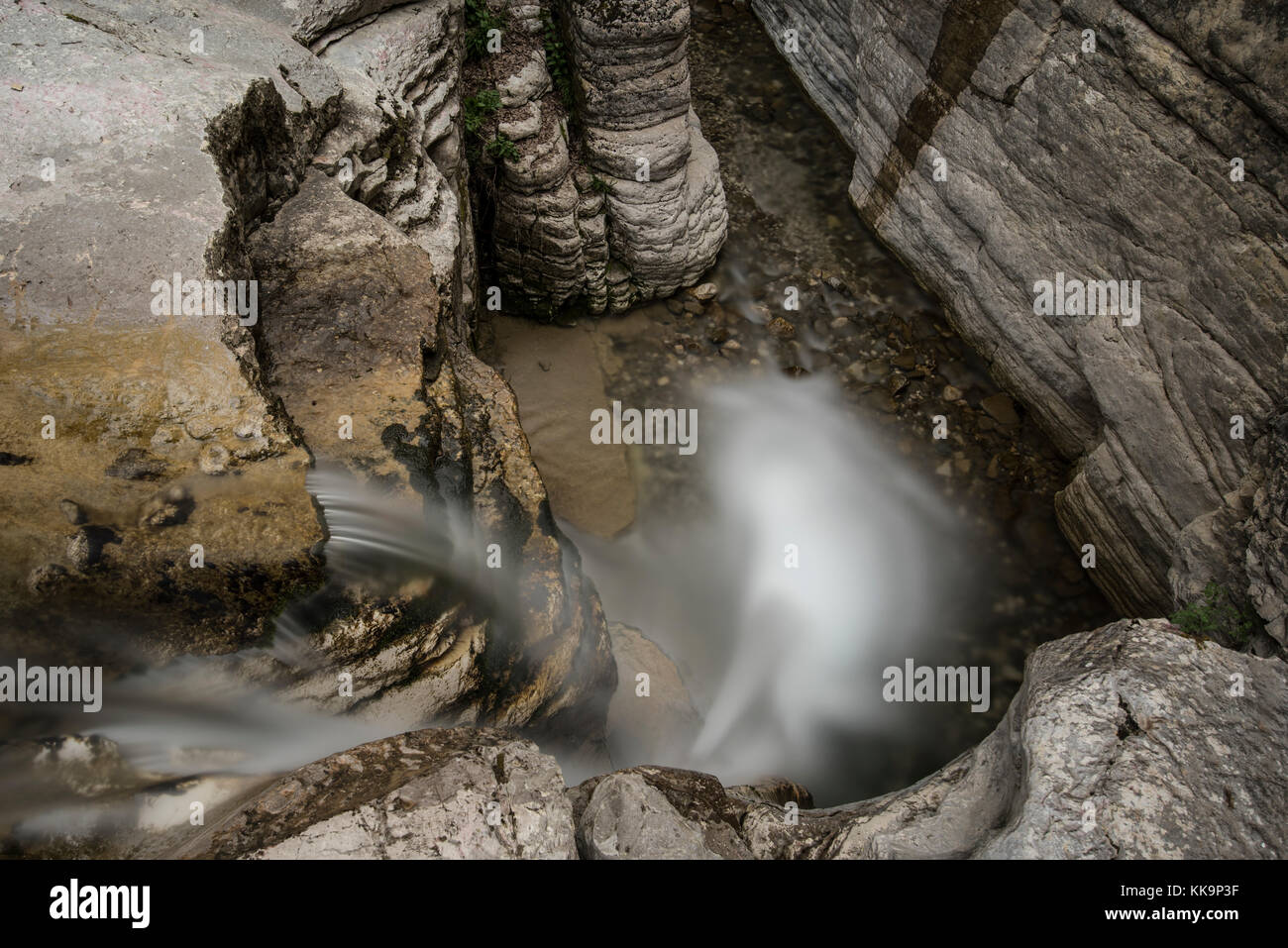 Mikro papingo Banque de photographies et d’images à haute résolution ...