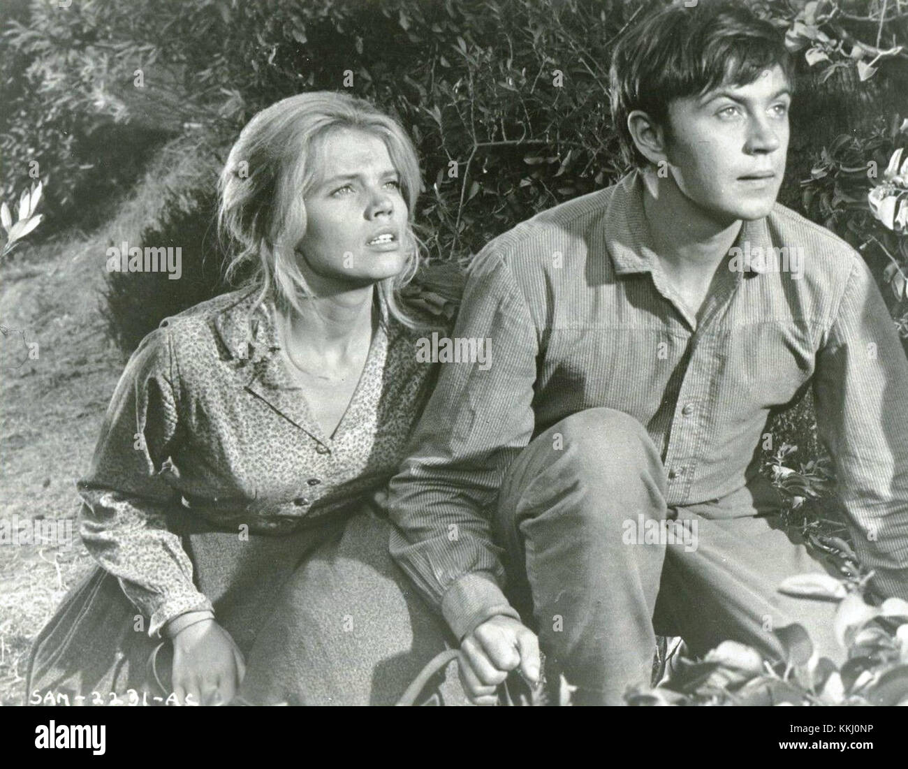 Savage sam Banque de photographies et d’images à haute résolution - Alamy