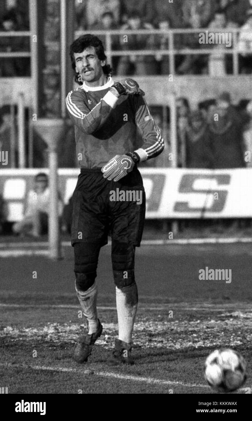 Silviu lung Banque de photographies et d’images à haute résolution - Alamy