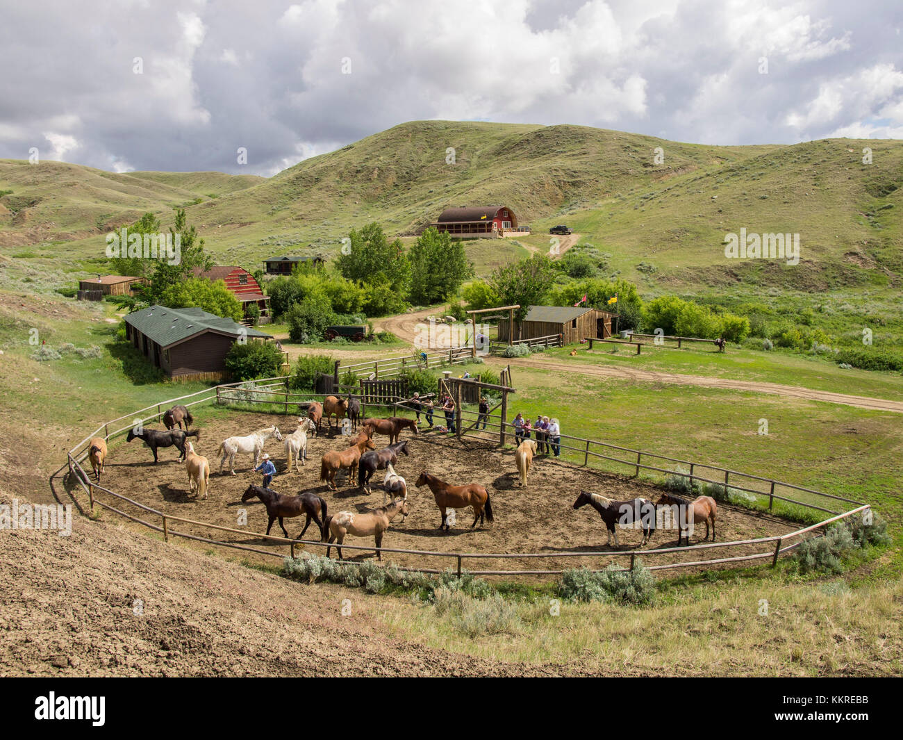 Cattle ranch corral Banque de photographies et d’images à haute ...