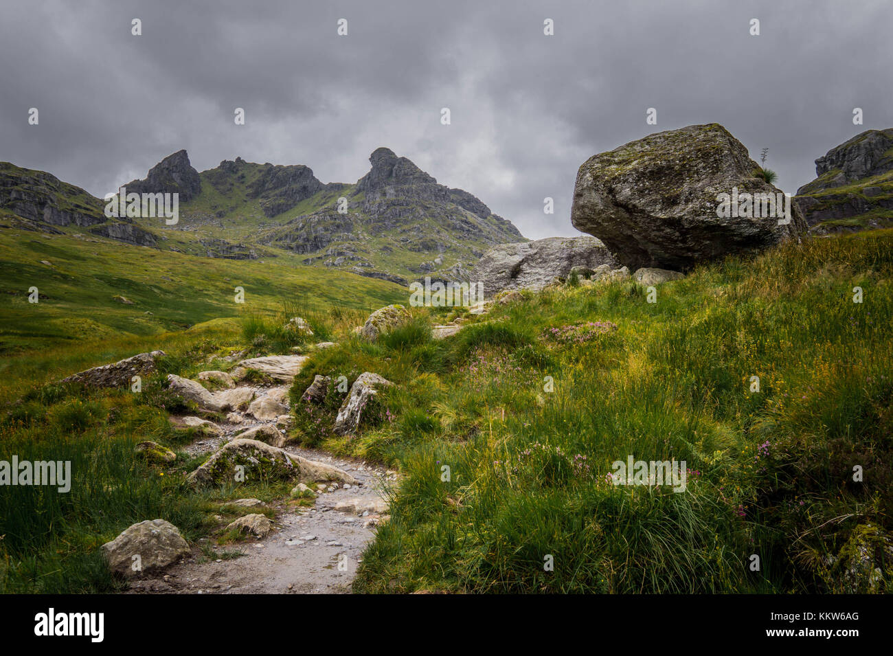 Ben arthur cordonnier Banque de photographies et d’images à haute ...